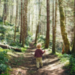 California Training Institute CalTrin home page